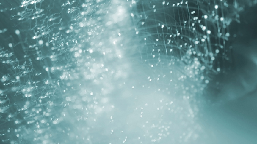 MPLS-TP: Winning the Protocol Wars at MPLS & Ethernet World Congress 2010